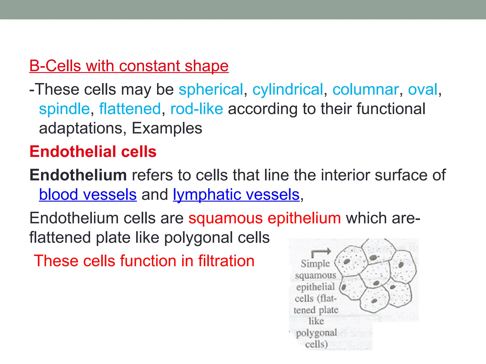 pp1-Introduction to human anatomy final.ppt