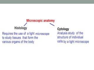 pp1-Introduction to human anatomy final.ppt