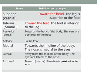 pp1-Introduction to human anatomy final.ppt