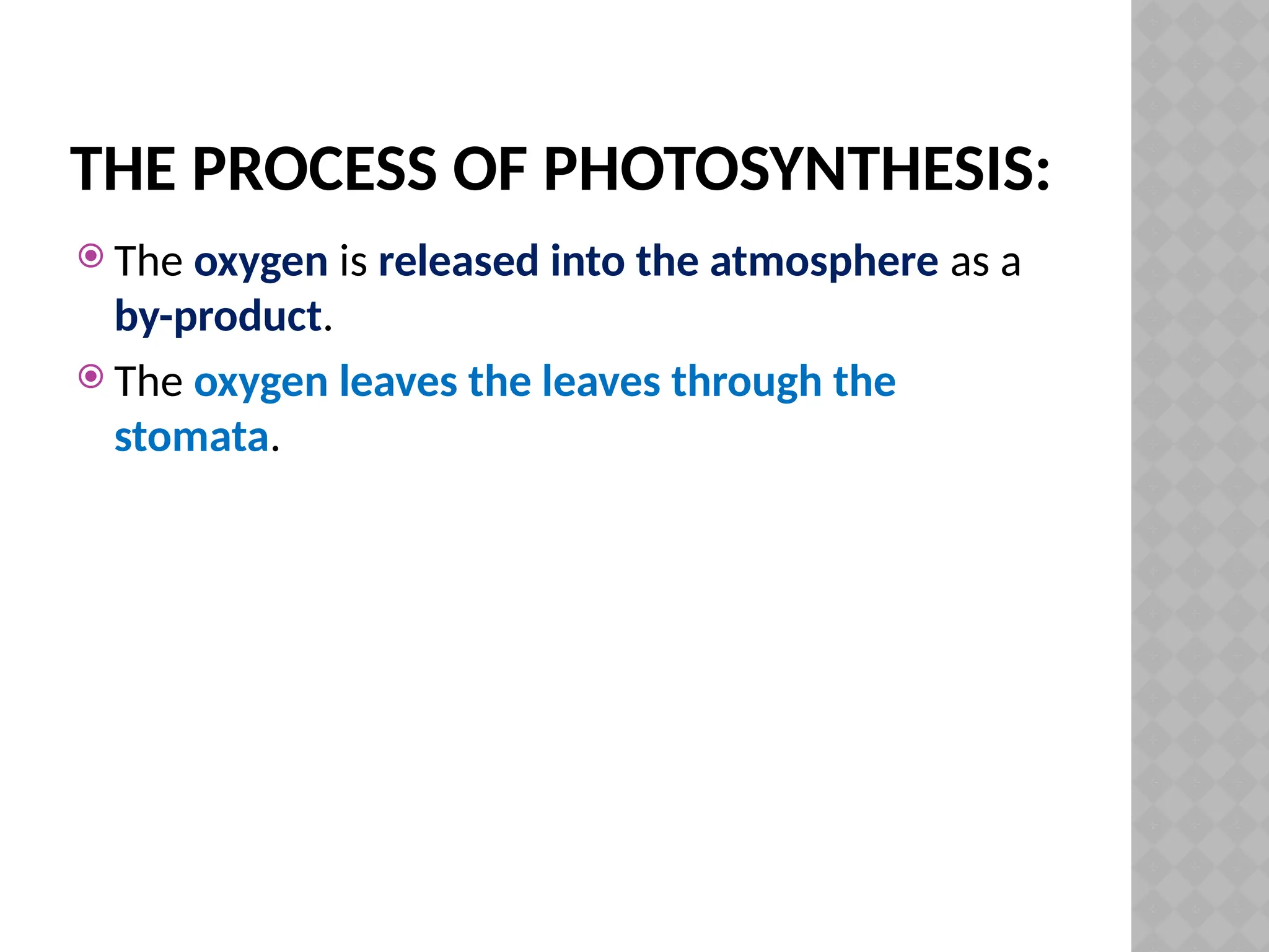 Photosynthesis:organelle-process-adaptation.pptx