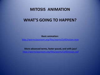 Pp 2.8 mitosis lsn 120317 | PPTX