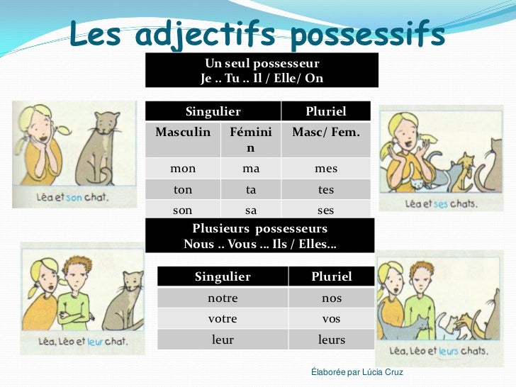 Grammaire Les Adjectifs Possessifsles Pronoms Possessifs