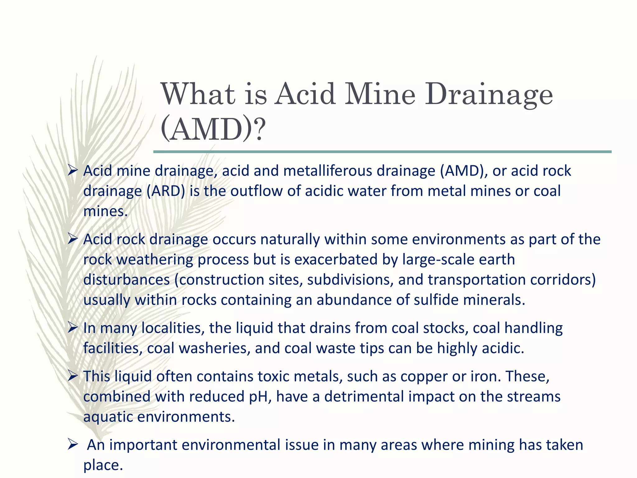 ACID MINE DRAINAGE | PPTX