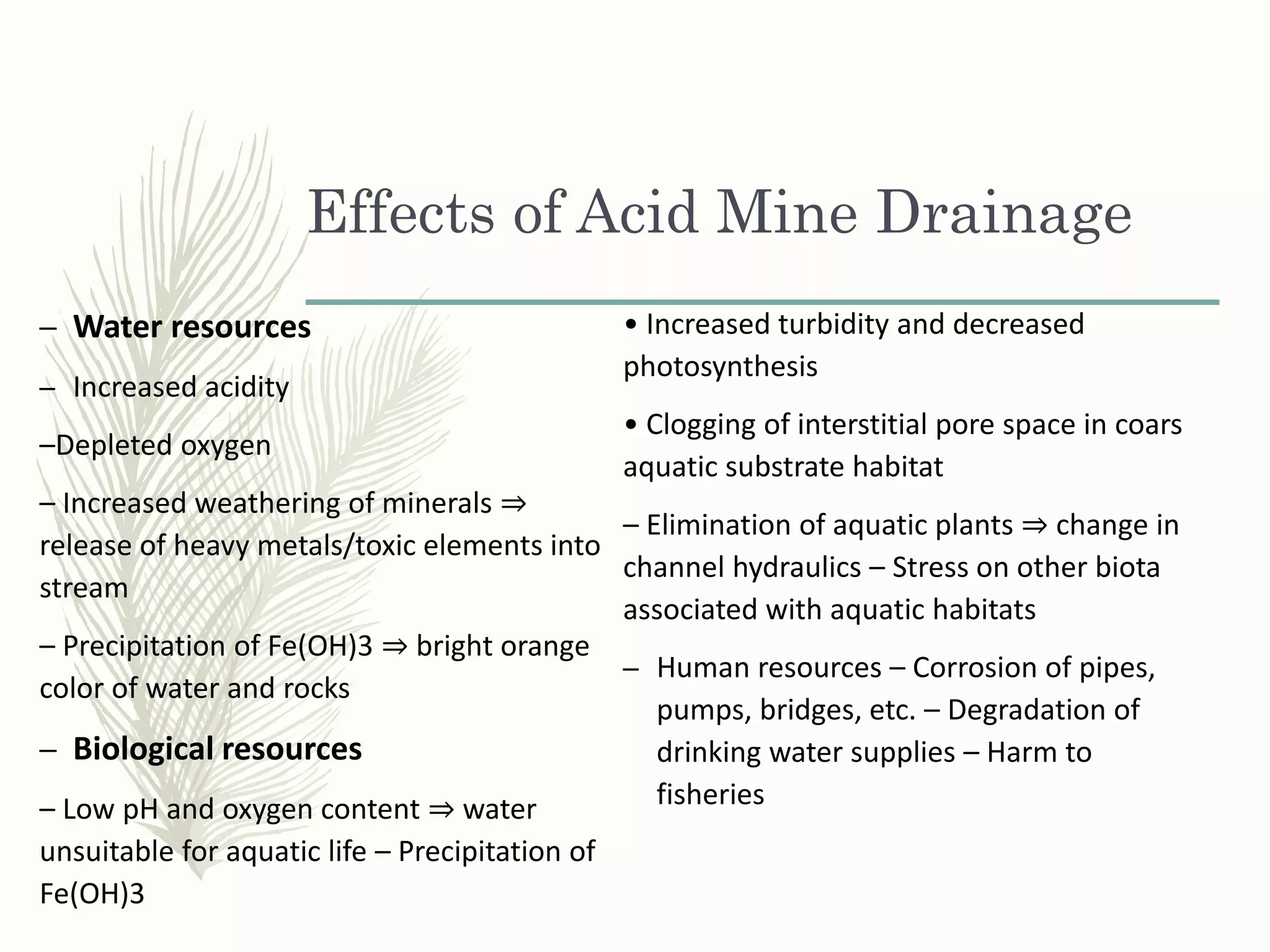 ACID MINE DRAINAGE | PPTX