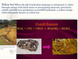 ACID MINE DRAINAGE | PPTX