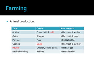 Nutrition 2nd ESO | PPTX