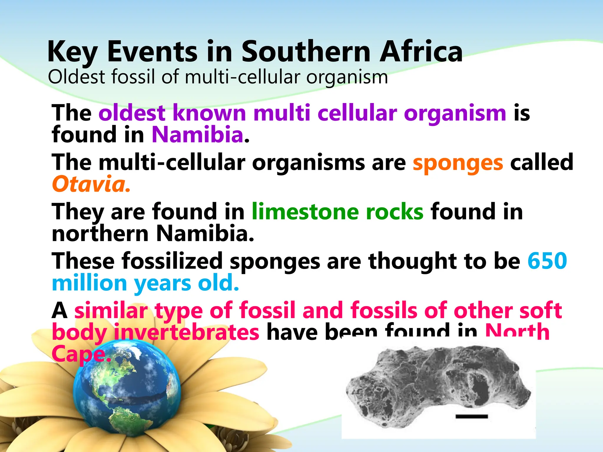 PP31_Fossils_formation_and_fossil_tourism_V2_1471878574.ppt