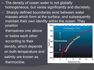 THERMOHALINE CIRCULATION | PPTX