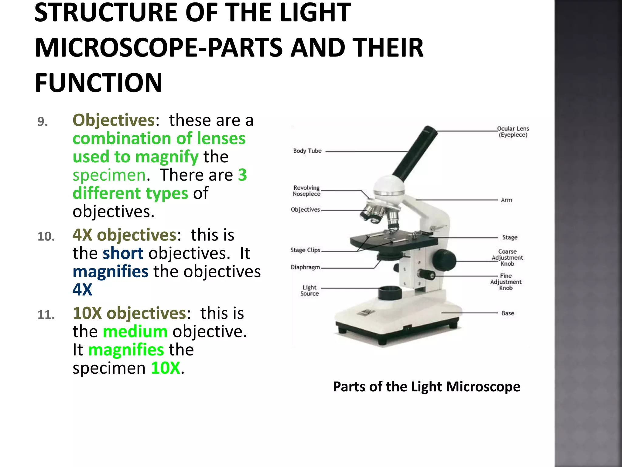 PP3_History_of_microscopy_1453876435.ppt | Biological Sciences | Science