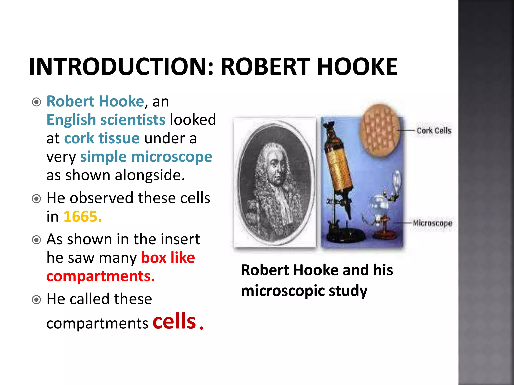PP3_History_of_microscopy_1453876435.ppt | Biological Sciences | Science