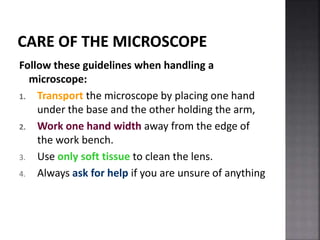 PP3_History_of_microscopy_1453876435.ppt