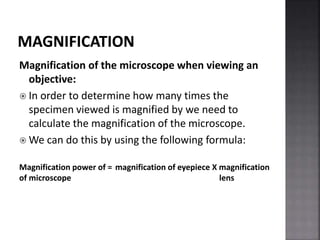 PP3_History_of_microscopy_1453876435.ppt