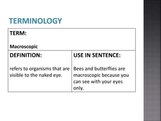 PP3_History_of_microscopy_1453876435.ppt