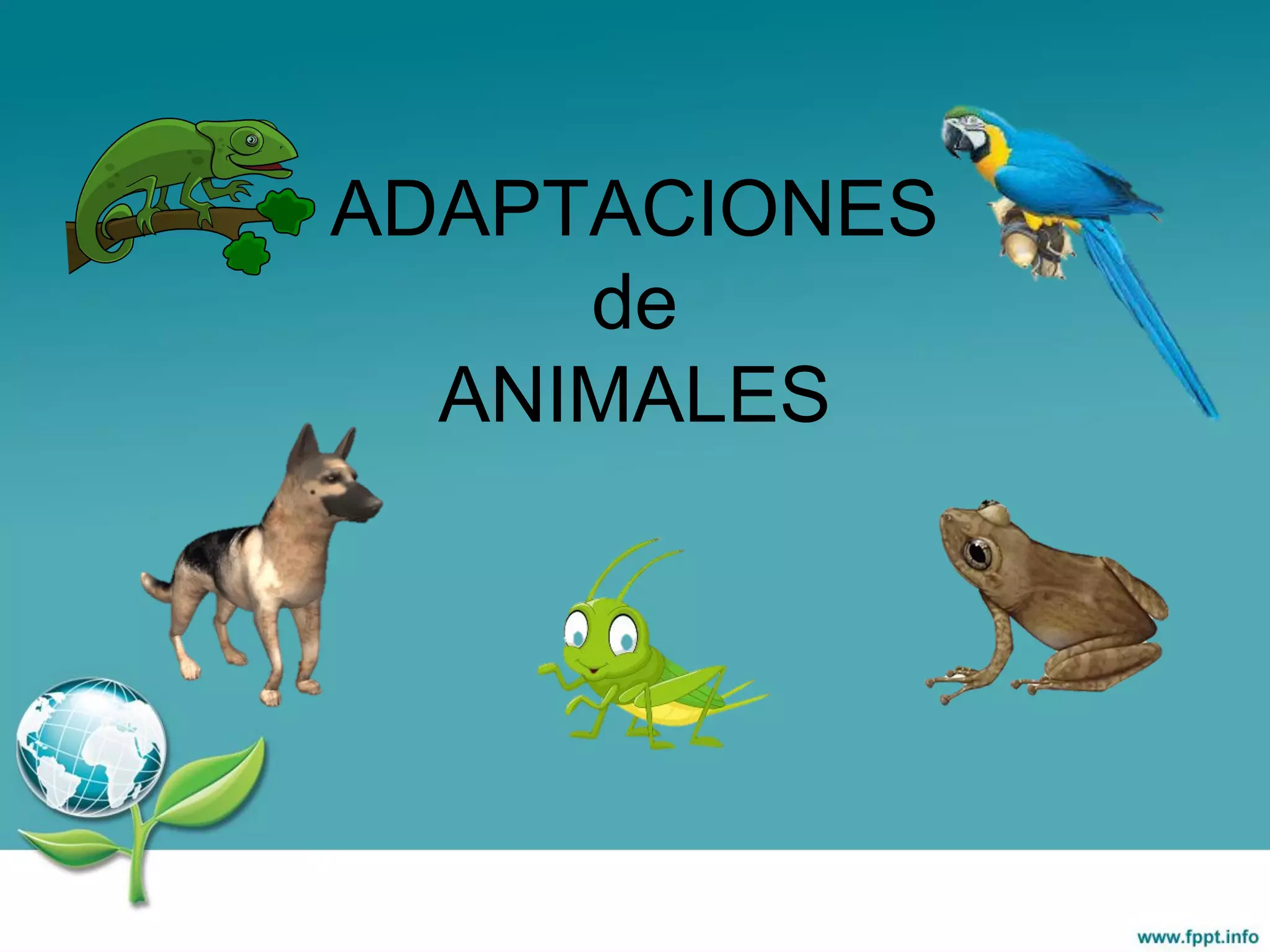 Pp 4.1 adaptaciones | PDF