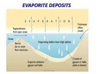 Evaporites | PPTX