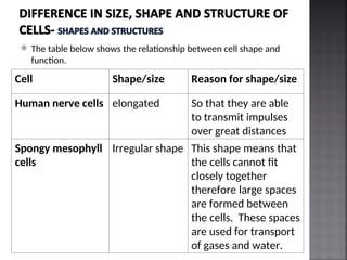 PP4_Cell_structure_and_functions_1453876549.ppt