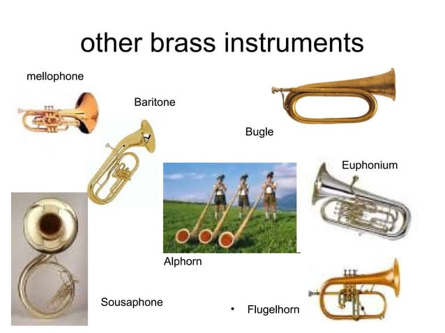 Pp 5 brass instruments | PPT