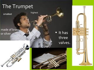 Pp 5 brass instruments | PPT