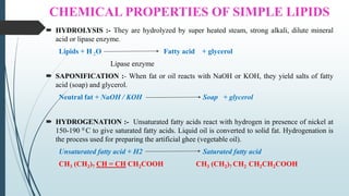 LIPIDS and their functions and classification | PPTX