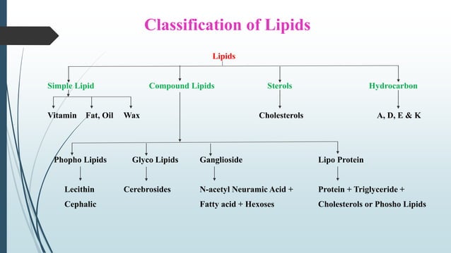 LIPIDS and their functions and classification | PPTX