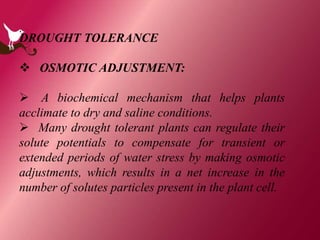 adaptations to water deficit in plants | PPTX