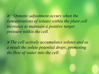 adaptations to water deficit in plants | PPTX