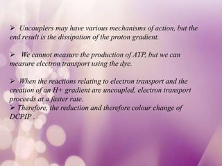 adaptations to water deficit in plants | PPTX