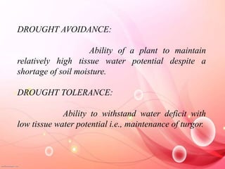 adaptations to water deficit in plants | PPTX