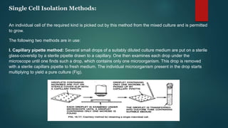 DETECTION AND DIAGNOSIS OF PLANT DISEASES | PPTX