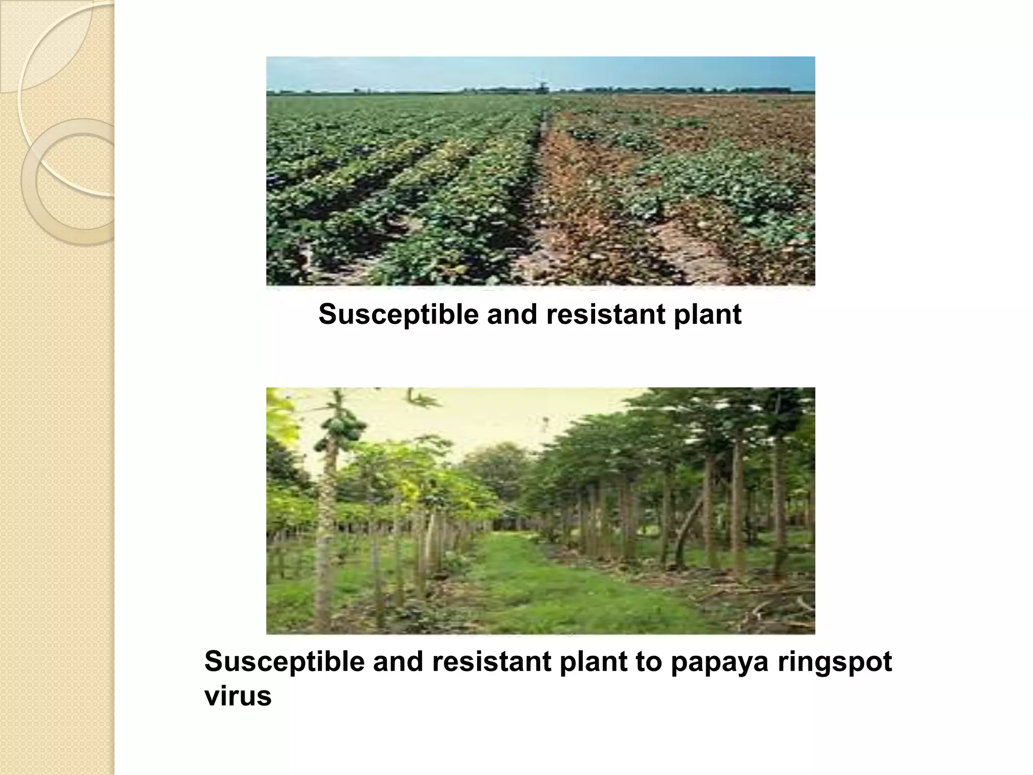 Principles of plant disease management | PPTX