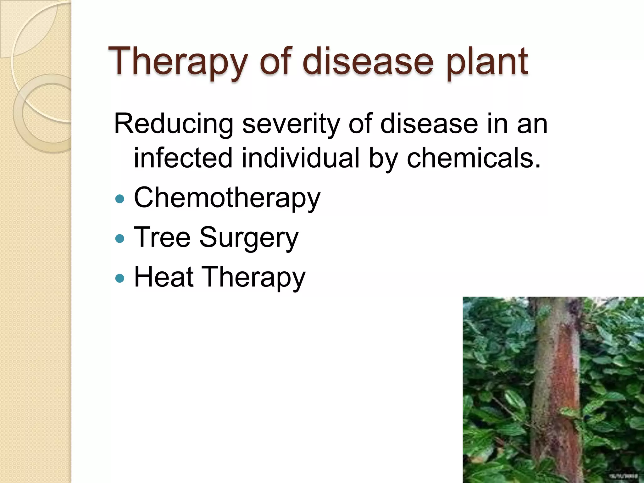 Principles of plant disease management | PPTX