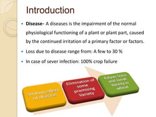 Principles of plant disease management | PPTX