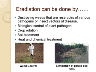 Principles of plant disease management | PPTX