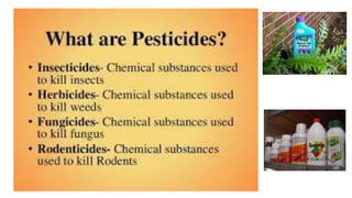 What are Pesticides and their Formulation | PPTX