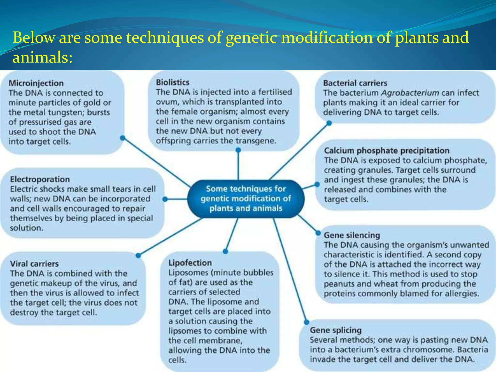 about genetic modified orgenism | PPT