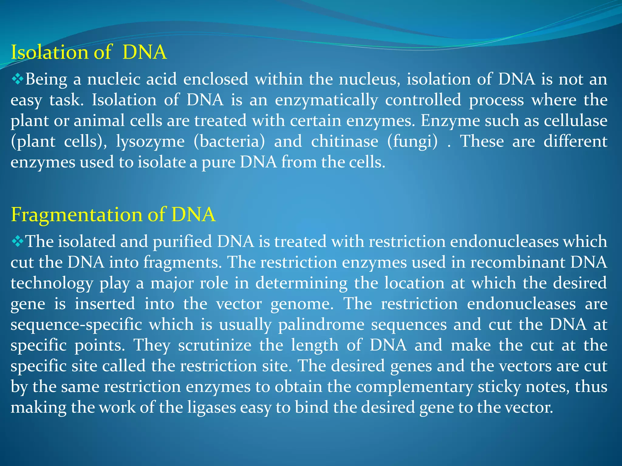 about genetic modified orgenism | PPT