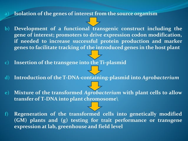 about genetic modified orgenism | PPT