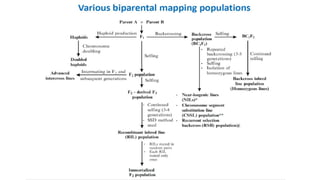 QTL MAPPING AND APPROACHES IN BIPARENTAL MAPPING POPULATIONS.pptx