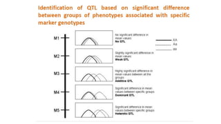 QTL MAPPING AND APPROACHES IN BIPARENTAL MAPPING POPULATIONS.pptx