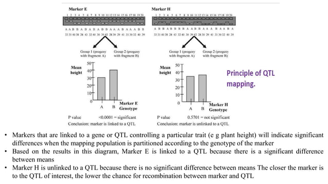 QTL MAPPING AND APPROACHES IN BIPARENTAL MAPPING POPULATIONS.pptx