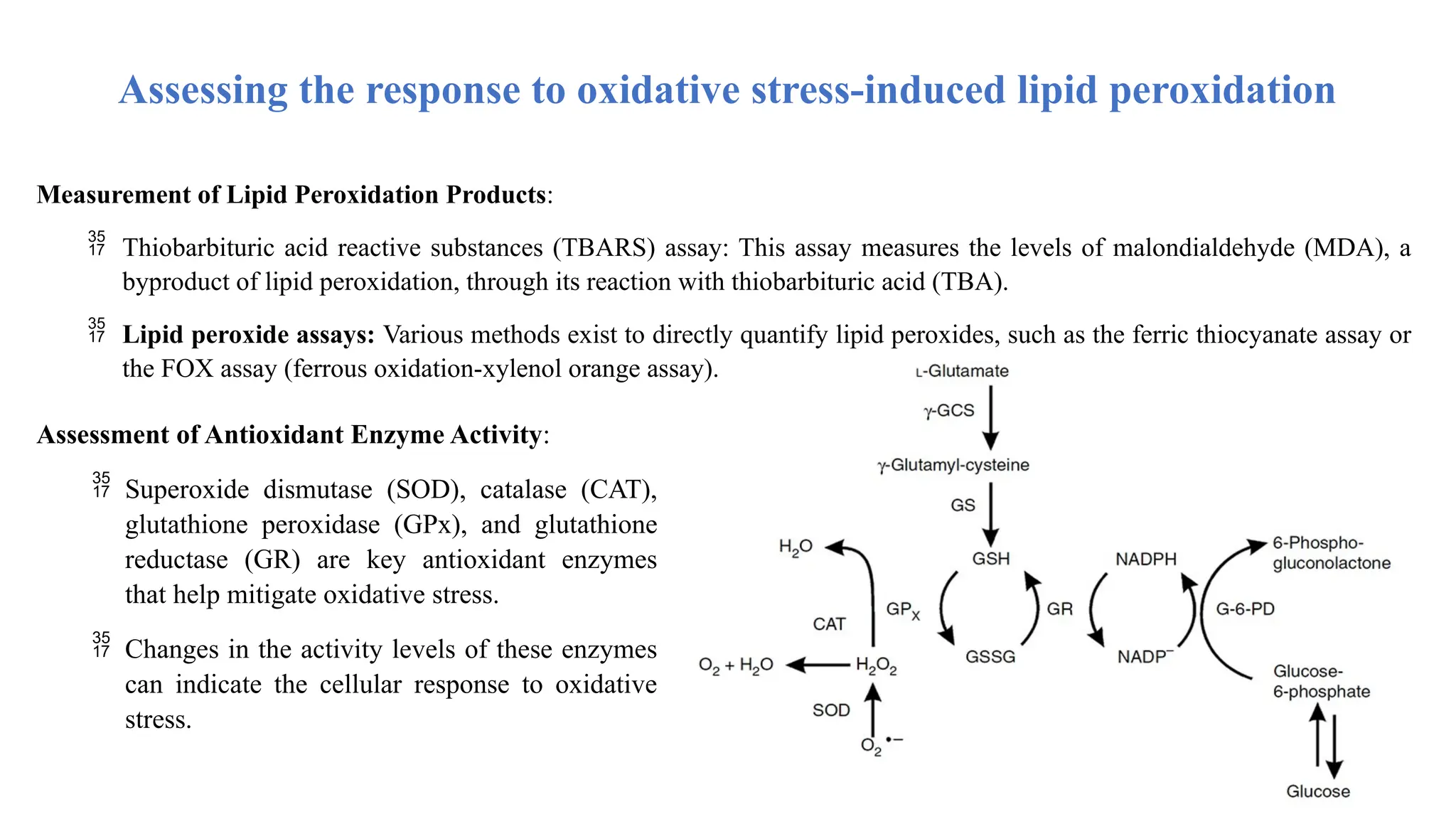 Stress responses studying techniques in plants | PPTX