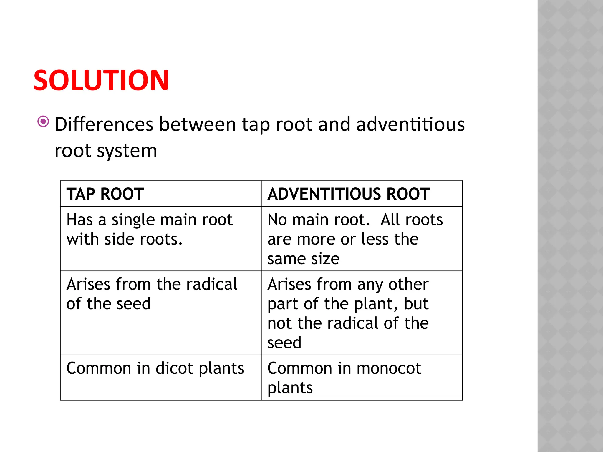 PP9 Biodiversity of Plants grade 11.pptx