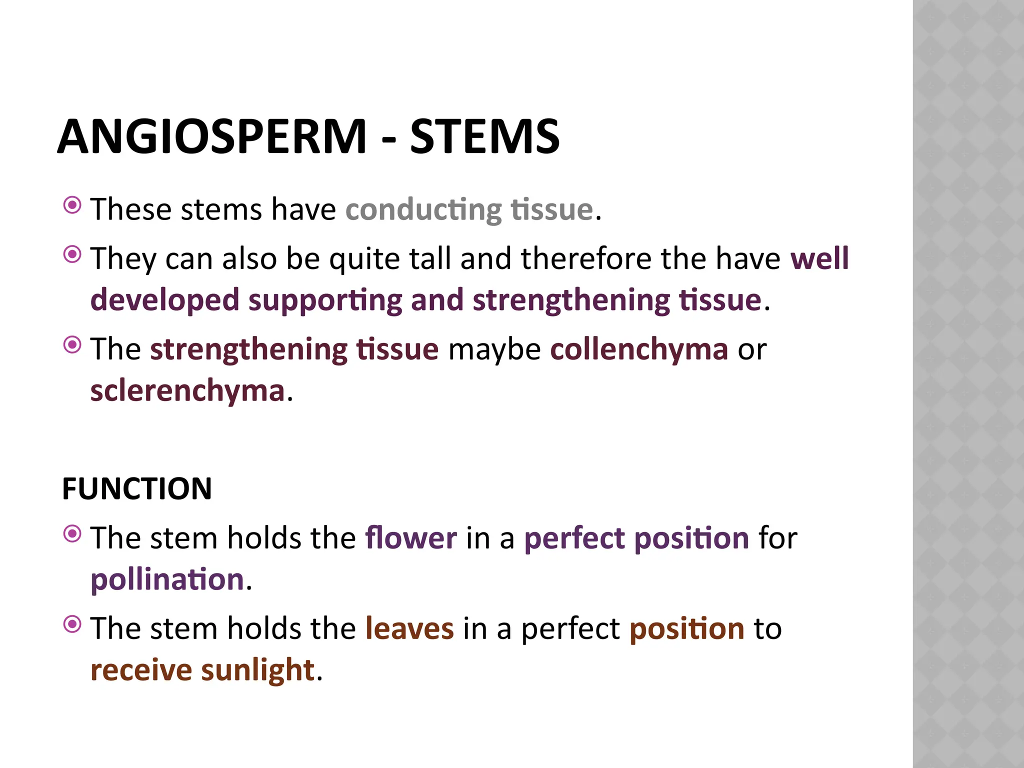 PP9 Biodiversity of Plants grade 11.pptx