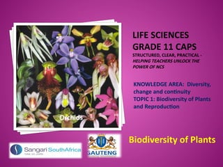 PP9 Biodiversity of Plants grade 11.pptx