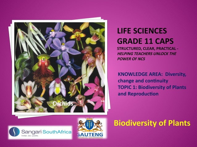PP9 Biodiversity of Plants grade 11.pptx | Reproductive Health ...