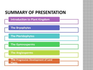 PP9 Biodiversity of Plants grade 11.pptx