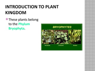 PP9 Biodiversity of Plants grade 11.pptx