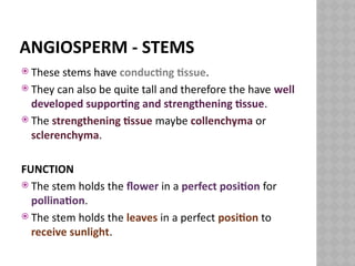PP9 Biodiversity of Plants grade 11.pptx