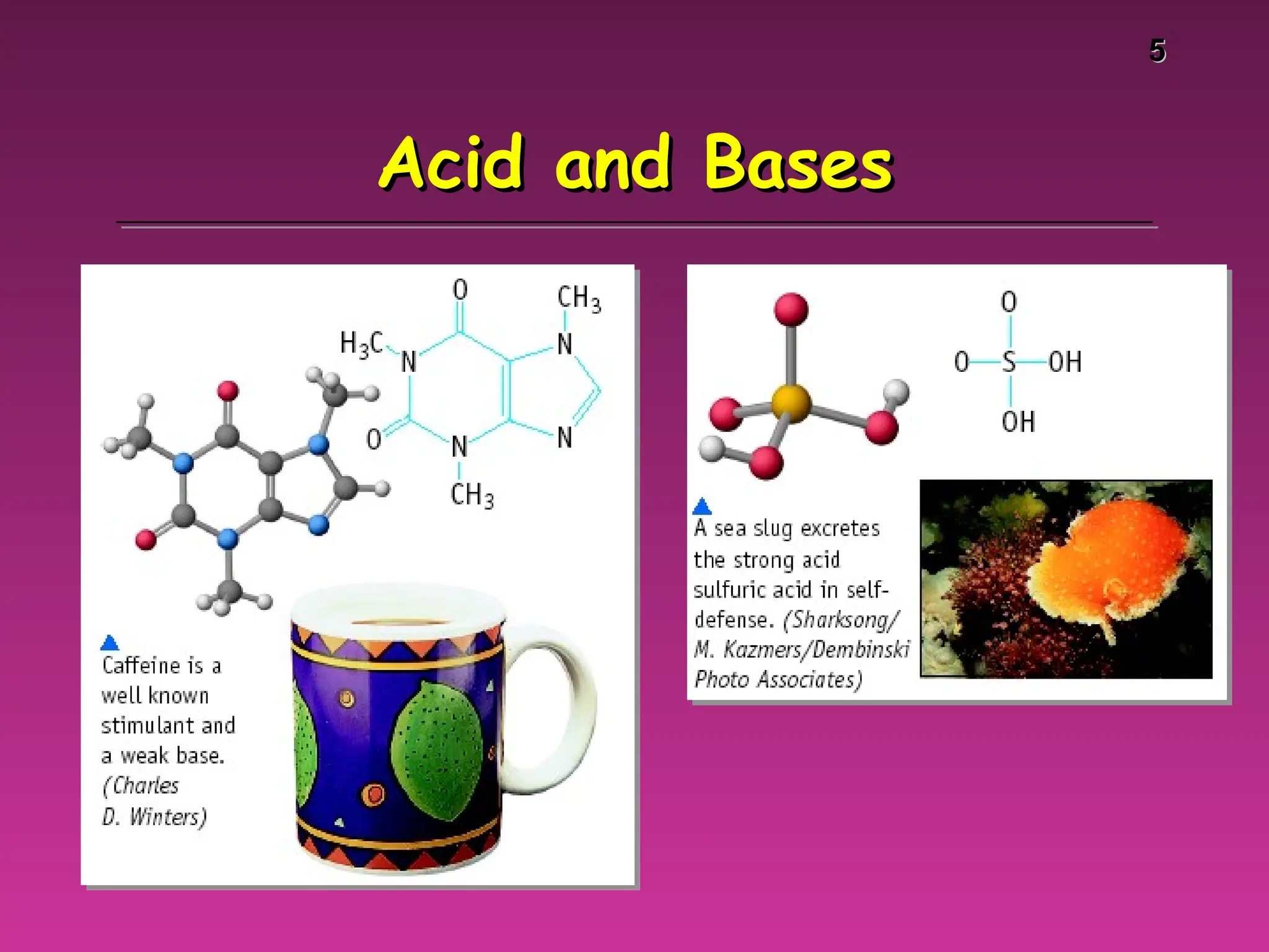 The Chemistry of Acids and Bases - Th pH scale | PPT