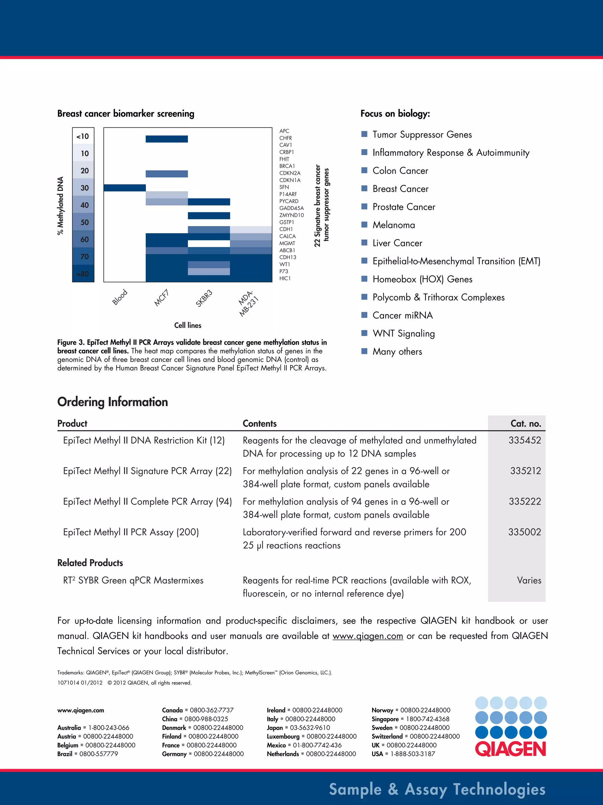 Pp adna epi_tect | PDF